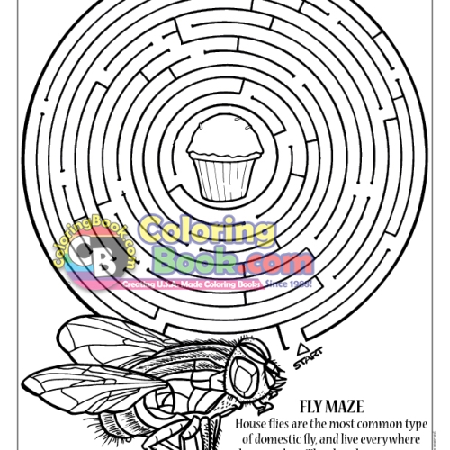 Pest Control Imprintable Coloring and Activity Book - Imprint Coloring ...
