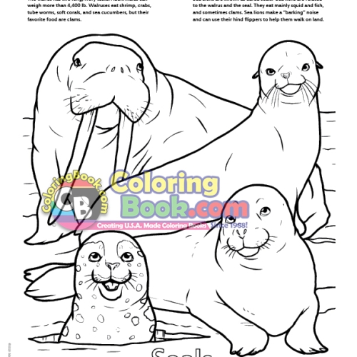 Zoo Animals Imprintable Coloring and Activity Book - Imprint Coloring Books